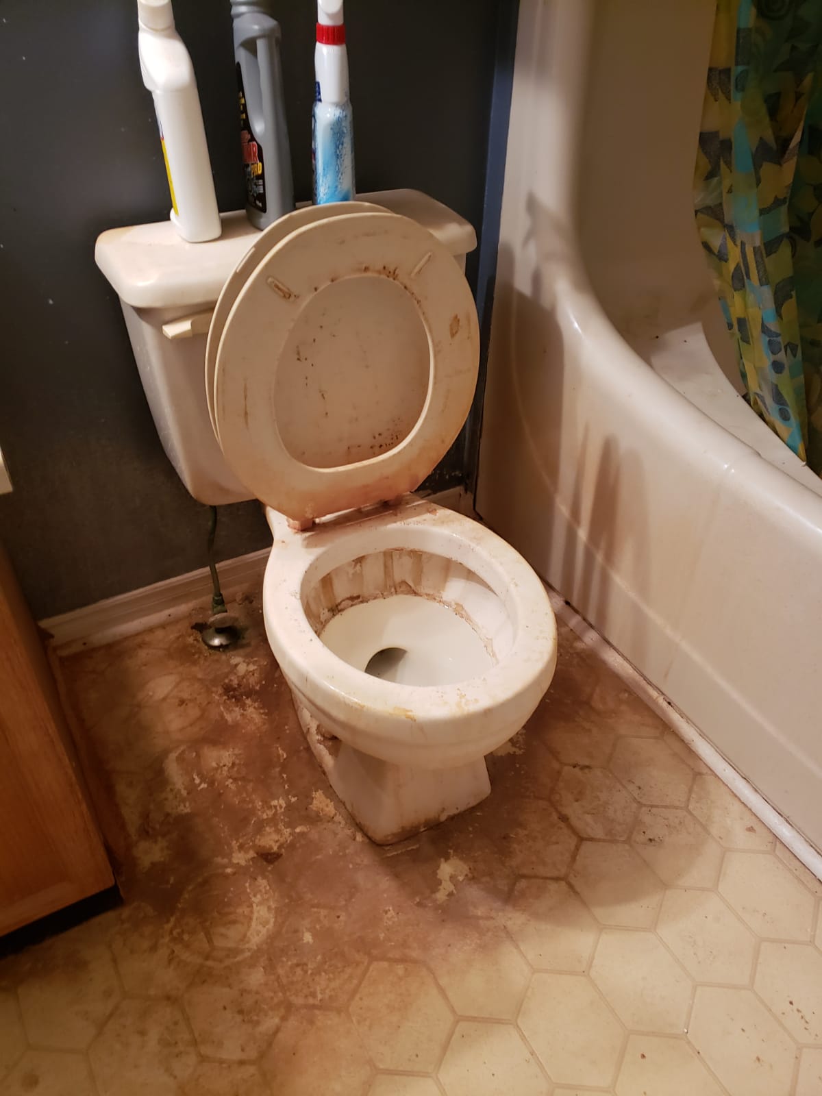 Our Services | Exquisite Clean